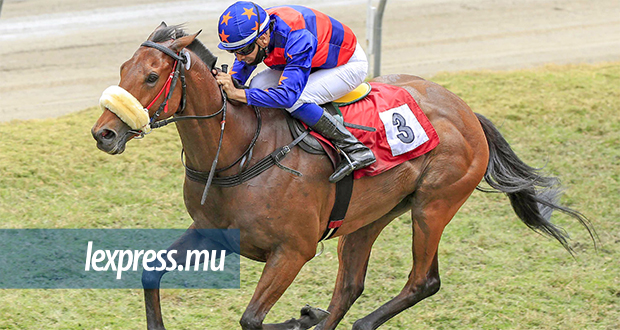 Maiden Cup: Alshibaa, la douce revanche